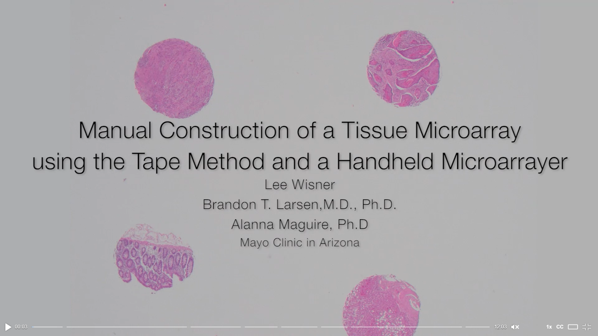 New to Journal of Visualized Experiments (JoVE), ACSR TMA Construction ...